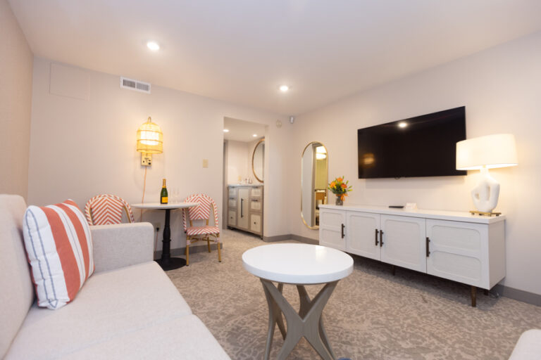 Best Times to Go Whale Watching at Cape May – Ocean Club Hotel